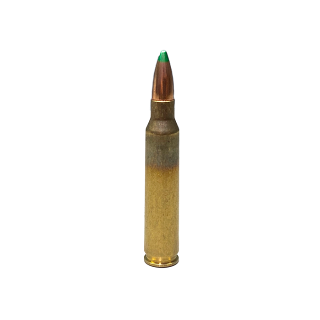 AMMO | DS-5.56X45-M855 (SS109) – HEDS